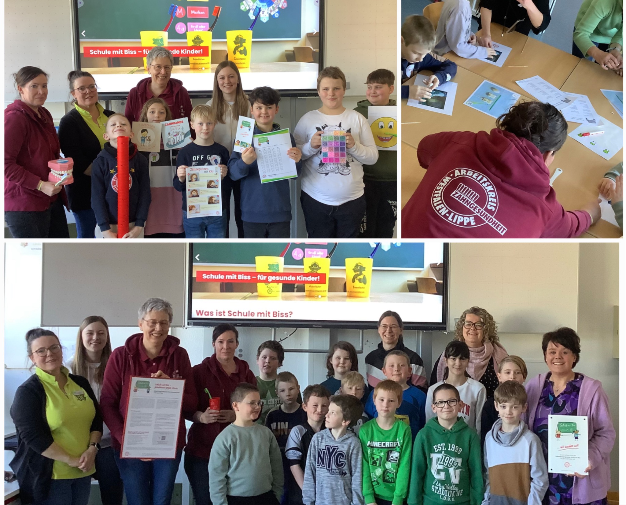 Meldung: „Schule mit Biss“ - Roman Herzog Schule